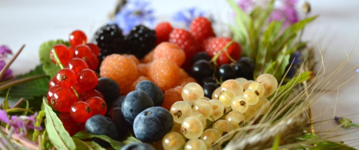 Culture de fruits rouges - Communauté de Communes du Haut-Lignon